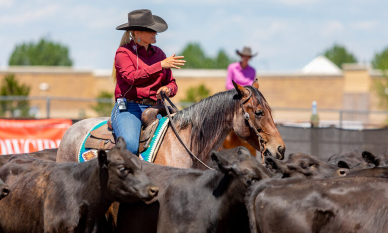 Team Roping - Art of the Cowgirl
