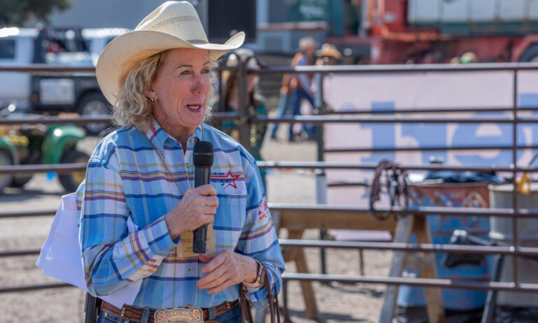 Workshops & Clinics - Art of the Cowgirl