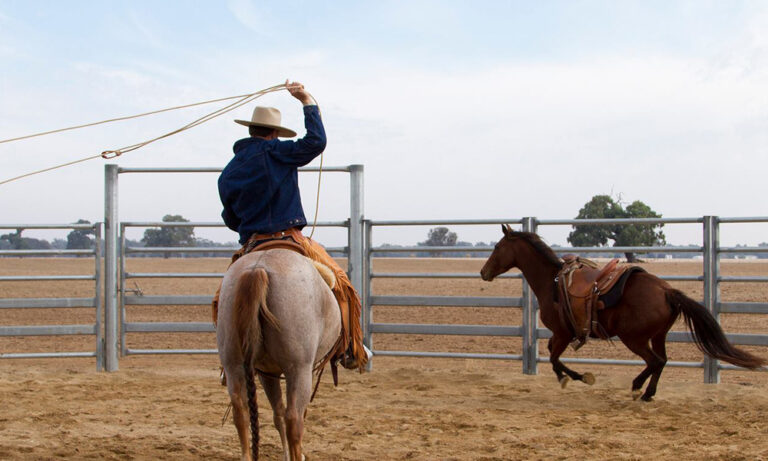 Team Roping - Art of the Cowgirl