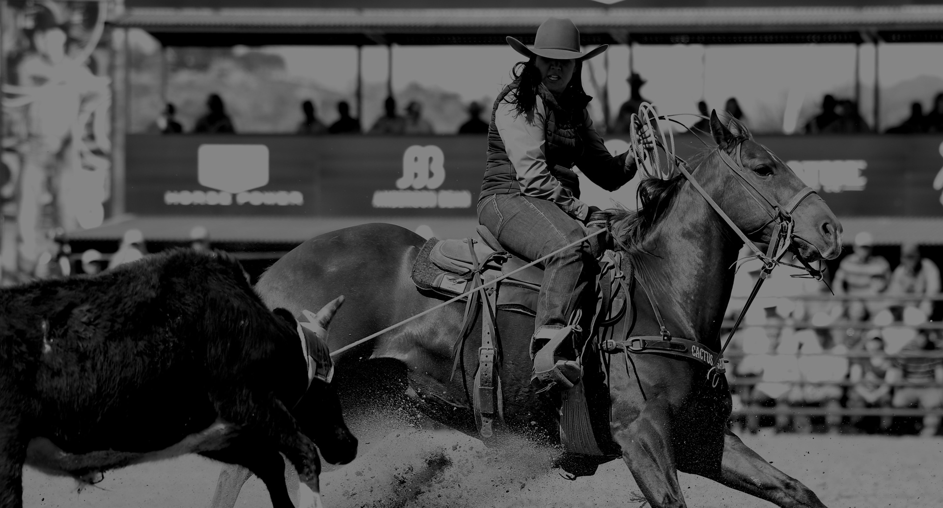 Team Roping - Art of the Cowgirl