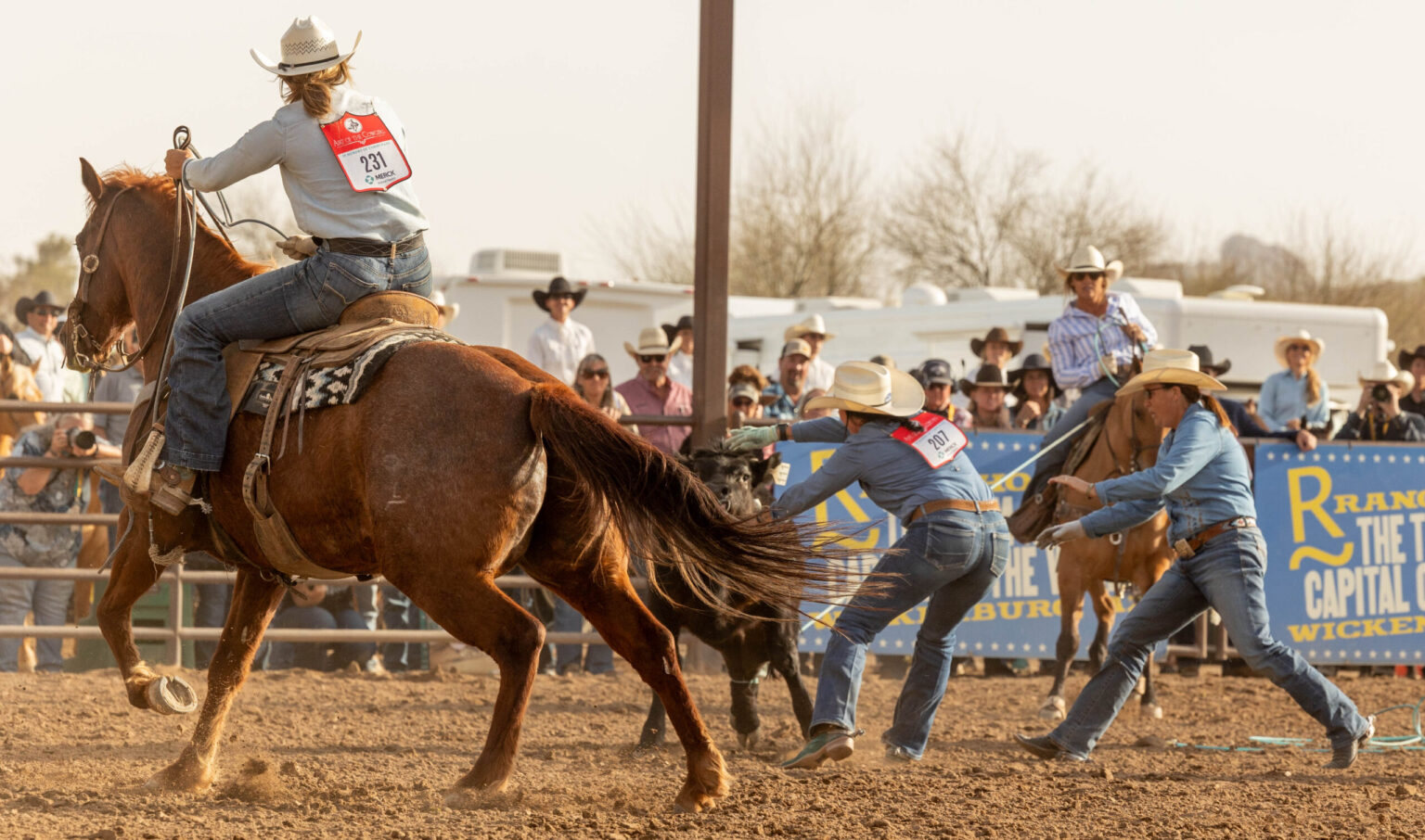 2025 Recap - Art of the Cowgirl